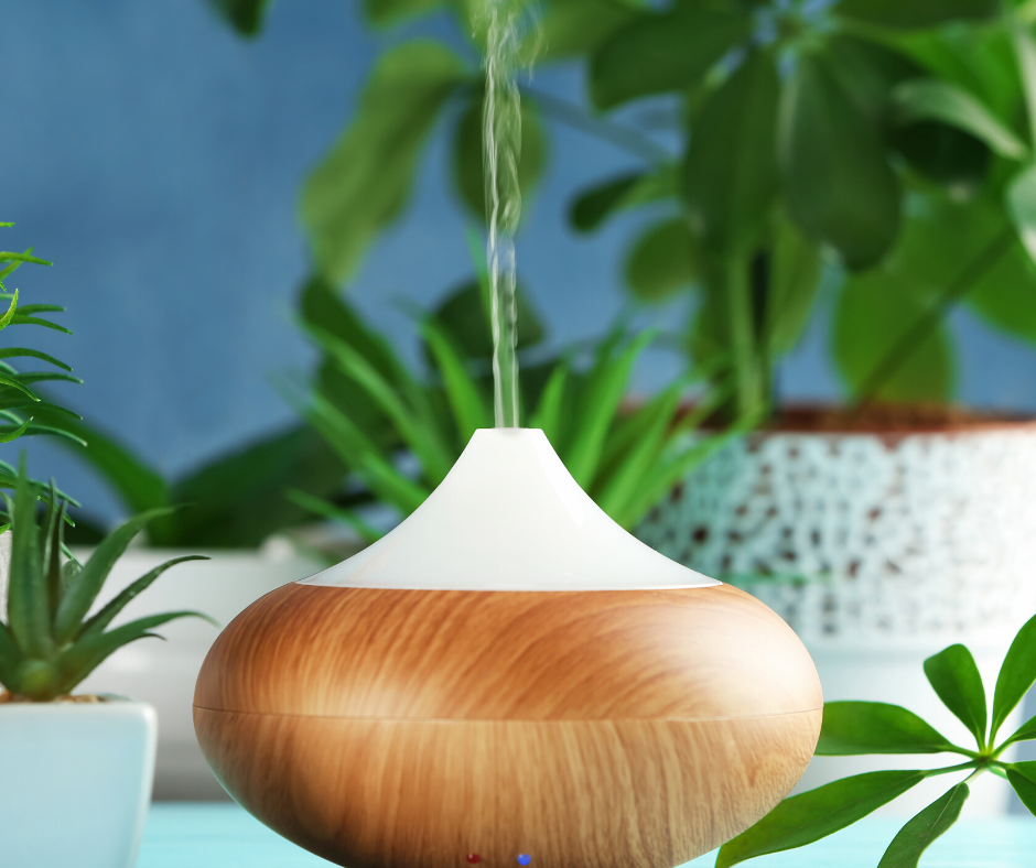 The Science of Aromatherapy | Elder Maze Solutions