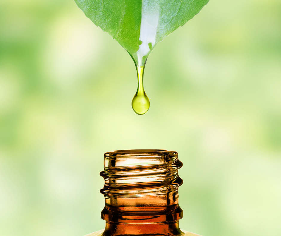 The Science of Aromatherapy | Elder Maze Solutions